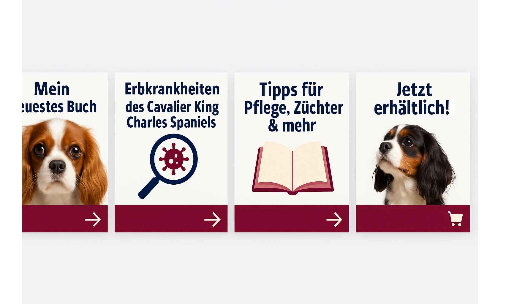 Cavalier King Charles Spaniel – Der König der Herzen auf vier Pfoten